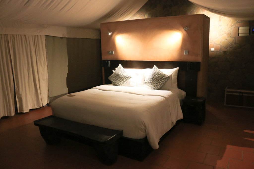 Günstigste Safari in Afrika: Der Mole National Park in Ghana